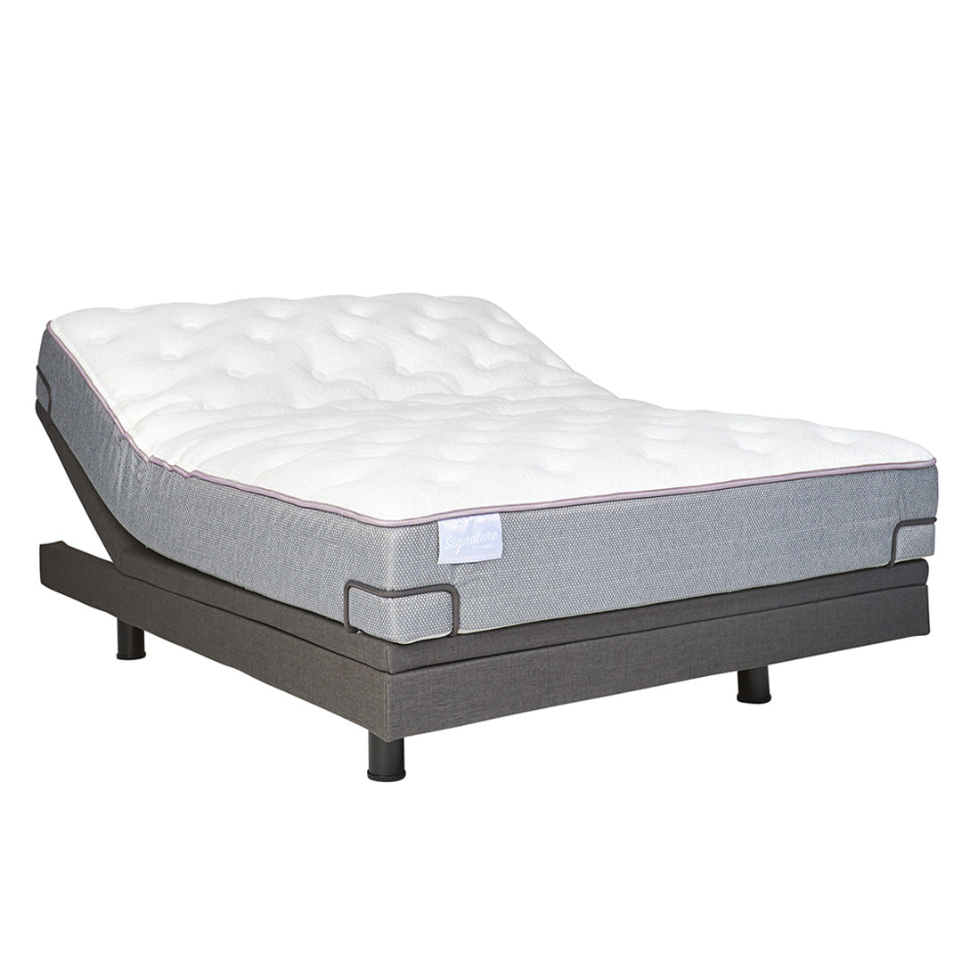 Club Signature II Plush